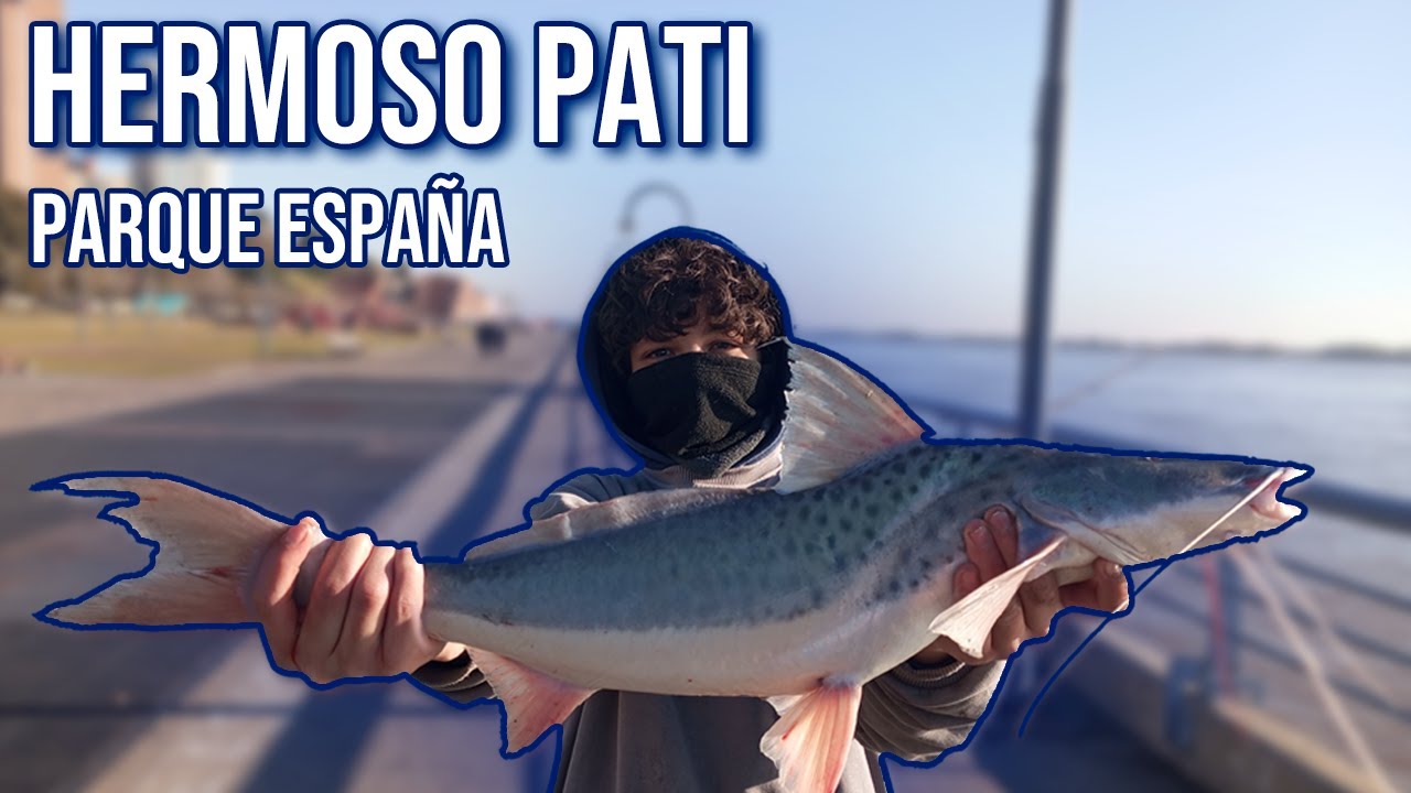 PESCA y COCINA | PATI en el PARQUE ESPAÑA - YouTube