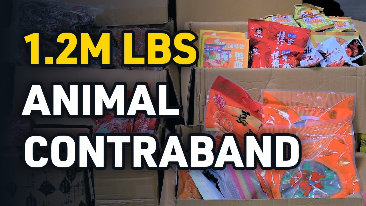 1.2M lbs of Animal Contraband Seized; New Bill to Ban Police K-9 ...