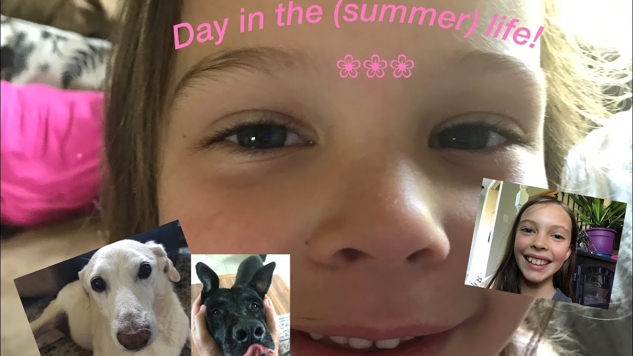 Day in the (summer) life! | Shoutouts! | Goose and Mimi - YouTube