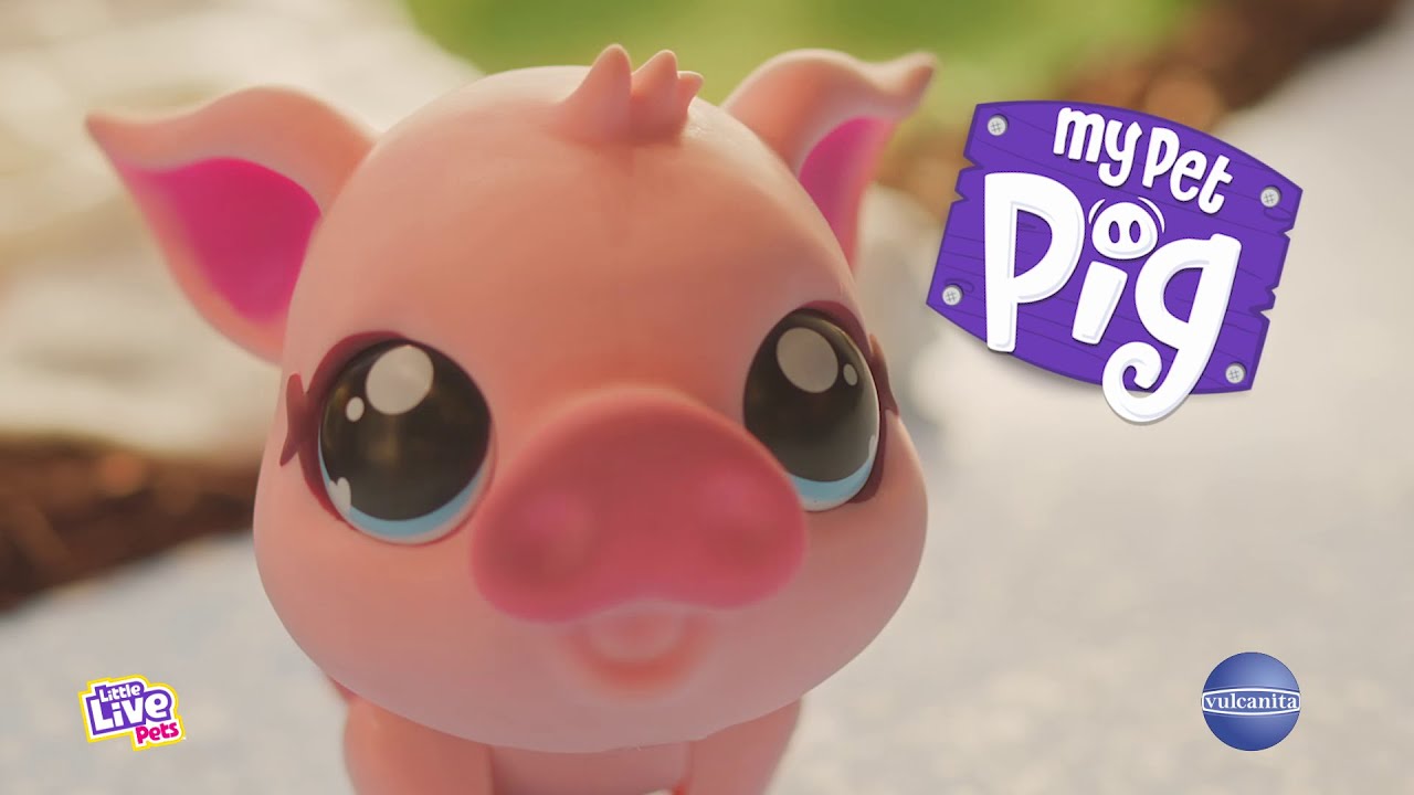 ️ LITTLE LIVE PETS - ''Piggly'' Mi Cerdito Mascota 🐷 - YouTube