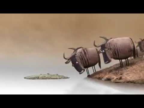 NAI RE KATHU TA | Hus kumbhira Hus | Odia funny video | #trending #odia #comedy #odisha