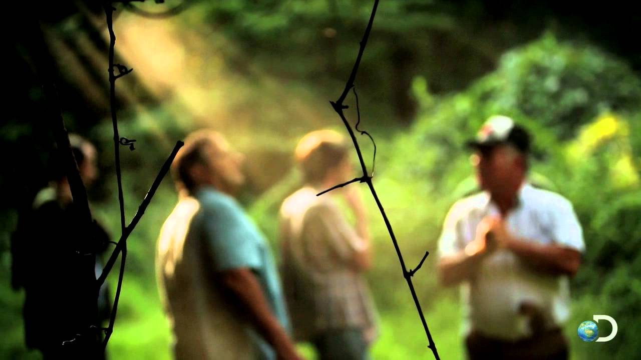 Special Brand of Outlaw | Dixie Mafia - YouTube