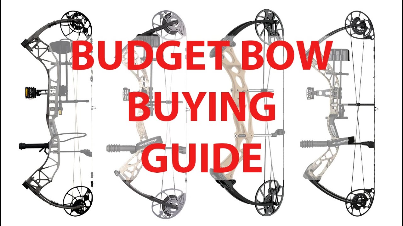 Beginner Bows For Archery - Buying Guide - YouTube