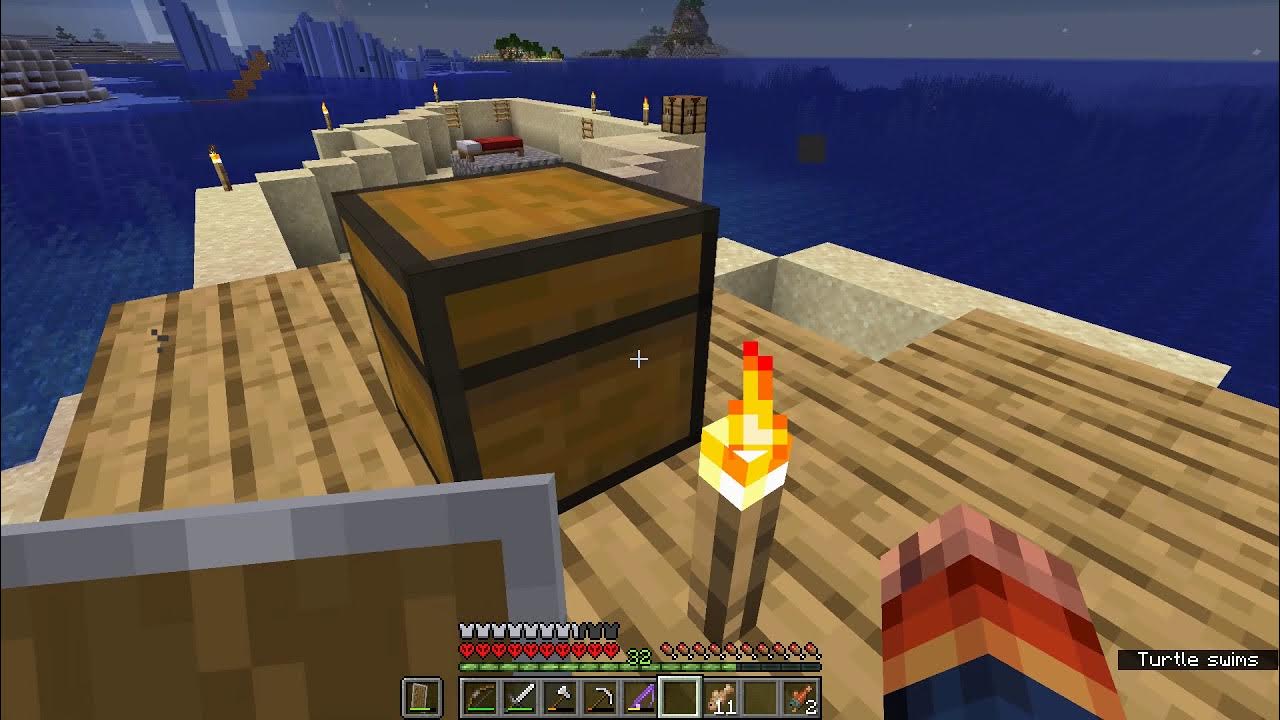 Minecraft Turtle Farming 28 Eggs Hatch - YouTube