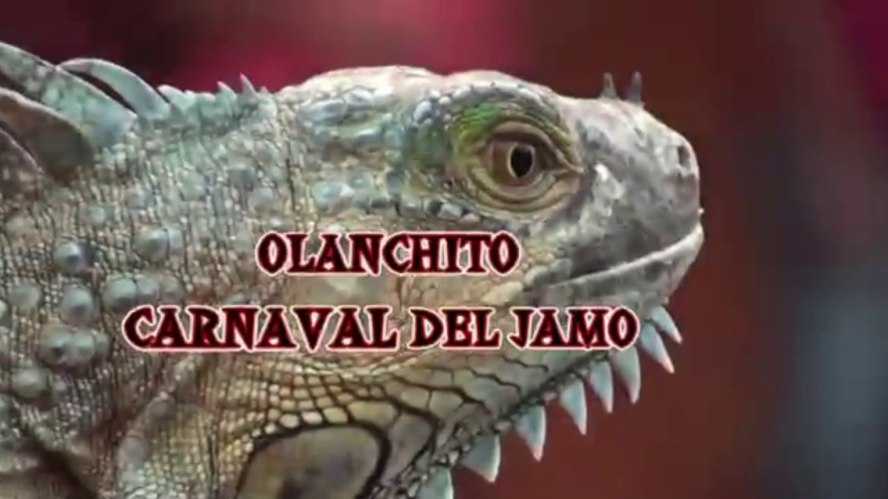 PROMO CARNAVAL DEL JAMO 2017 OLANCHITO YORO HN - YouTube