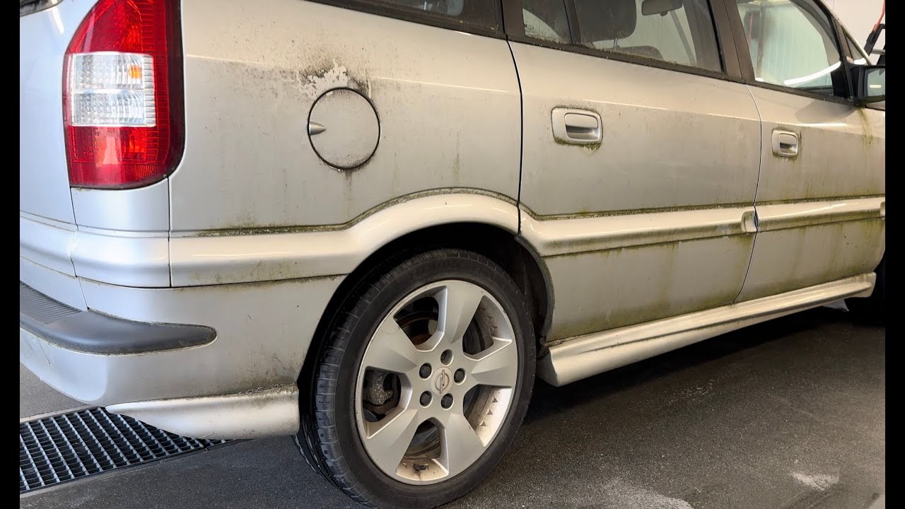 CAR FULL OF ALGAE IN NEED OF A THOROUGH CLEANING #pronano - YouTube