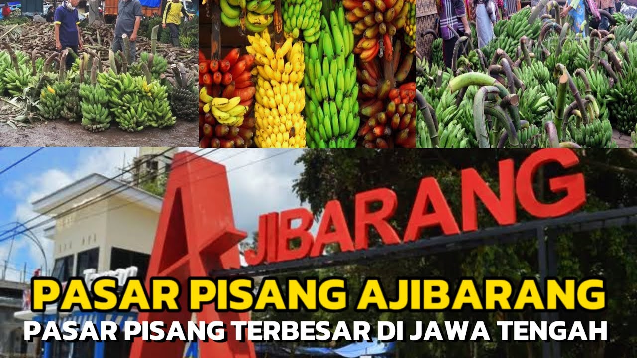PASAR PISANG TERBESAR DI JAWA TENGAH | PASAR PISANG AJIBARANG BANYUMAS ...