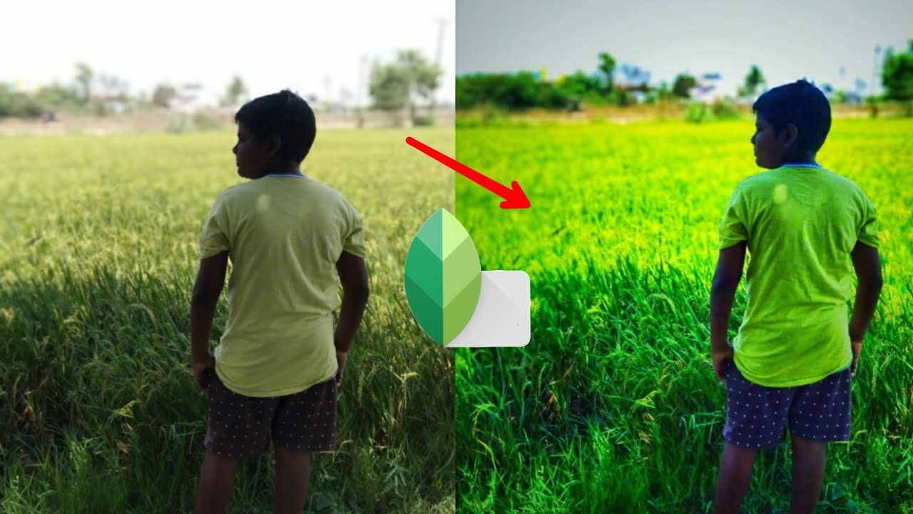 How to edit nature photo edit on snapseed to very simple tips and ...