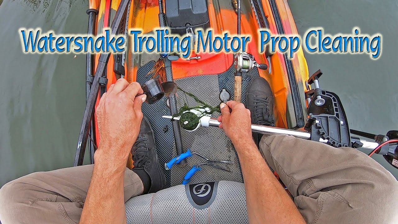 WATERSNAKE TROLLING MOTOR PROP CLEANING WITH SIDE MOUNT - YouTube