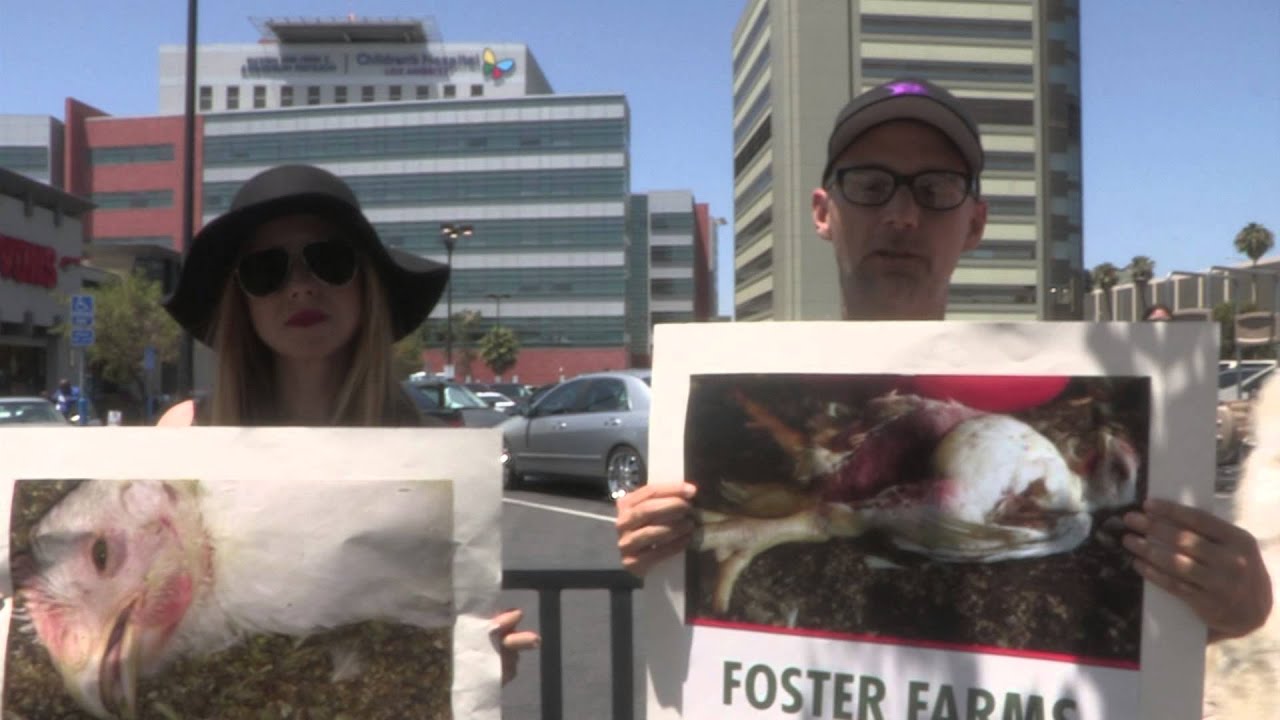 Moby and Simone Reyes protest Foster Farms with Mercy for Animals - YouTube