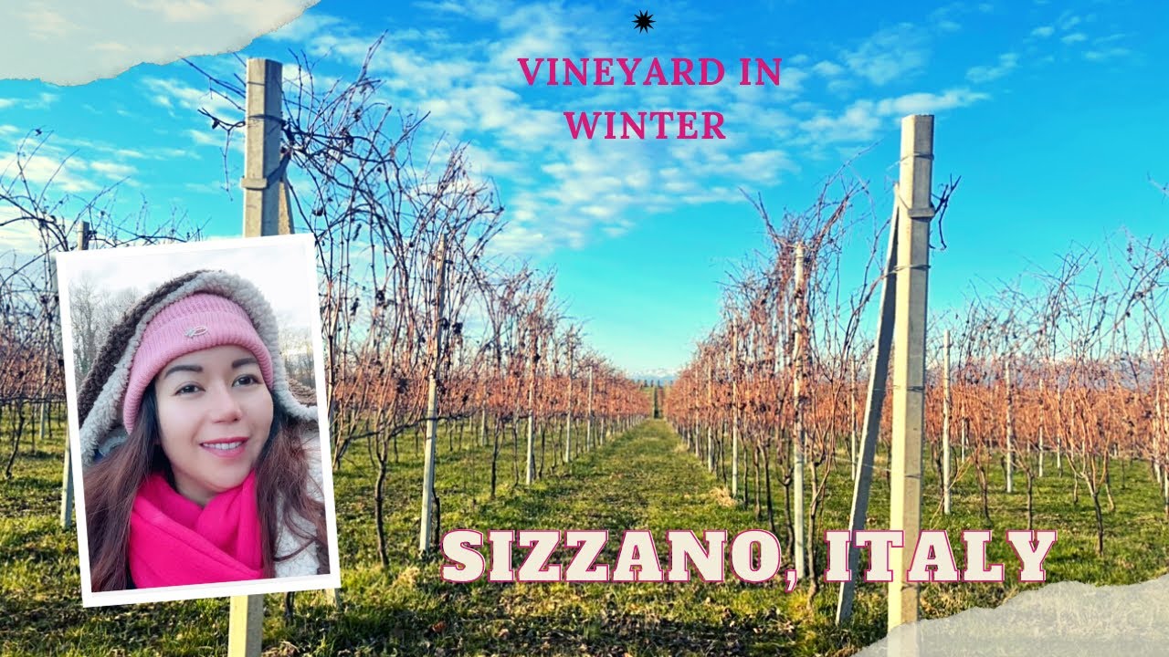 Vineyard in Winter Time / Sizzano, Italy 🇮🇹 - YouTube