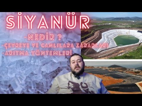 SİYANÜR NEDİR I  ÇEVREYE VE CANLILARA ETKİSİ I ARITMA YÖNTEMLERİ I SUYA DOKUNAN ADAM #ERZİNCANMADEN