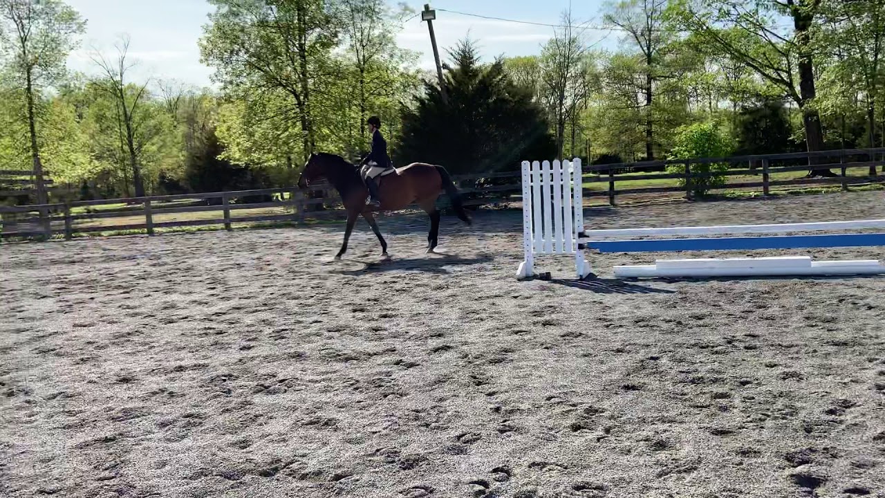 Working hunter flat class - YouTube