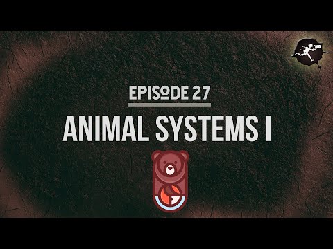 What Animals Need to Survive - Bears: Untamed Science #27