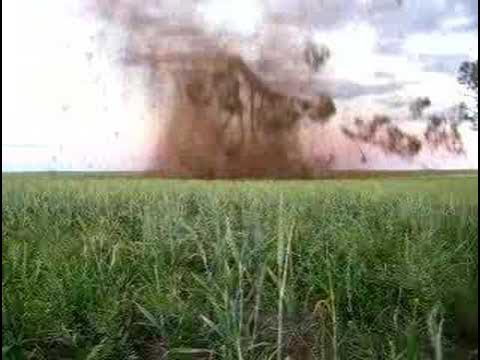 Exploding Tree 101 - YouTube