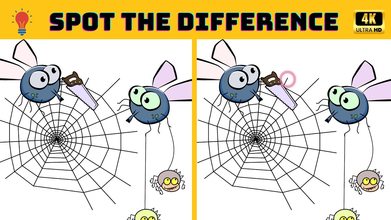 spot the Difference Between | Photo hunt | Episode-40 | 4k Video - YouTube