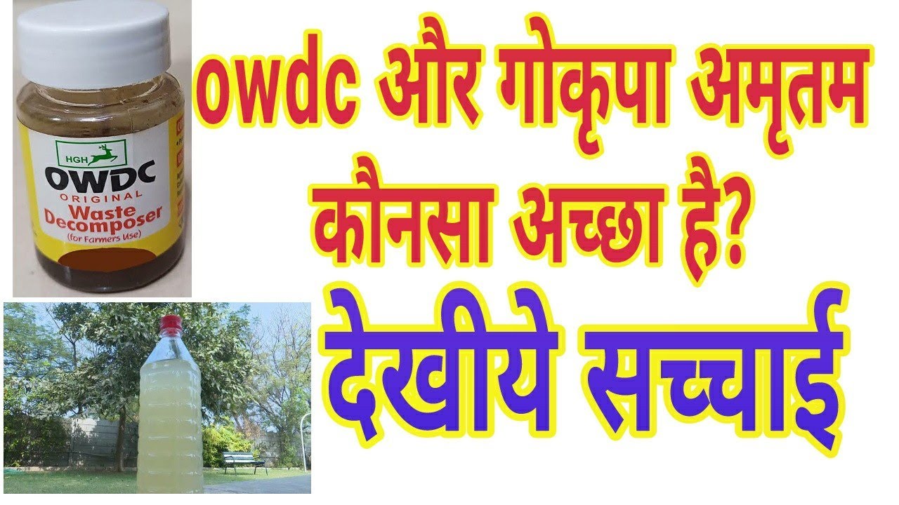 Owdc और गोकृपा अमृतम कौनसा है बेहतर - YouTube