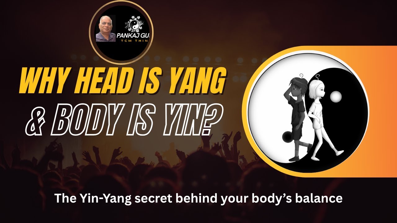 Head is Yang, Body is Yin | Understanding Yin-Yang Theory # ...