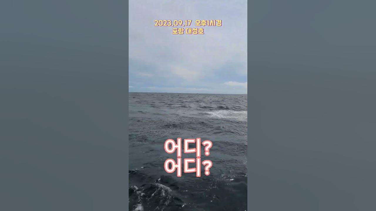 포항 대성호 상어 난입 실제 영상 Youtube