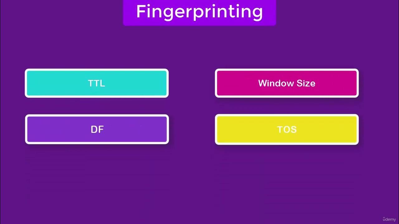 19-Fingerprinting || The Complete Ethical Hacking Absolute Beginners ...