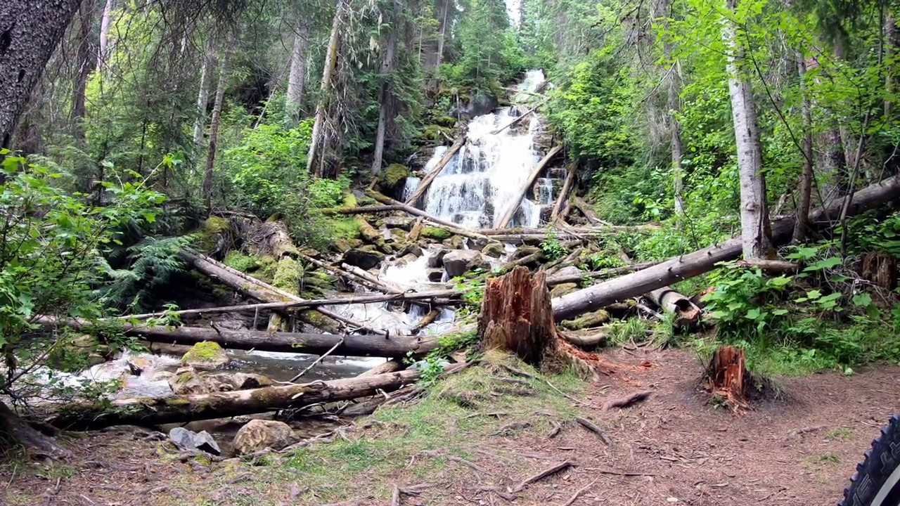 Martin Falls Flathead National Forest 4K - YouTube