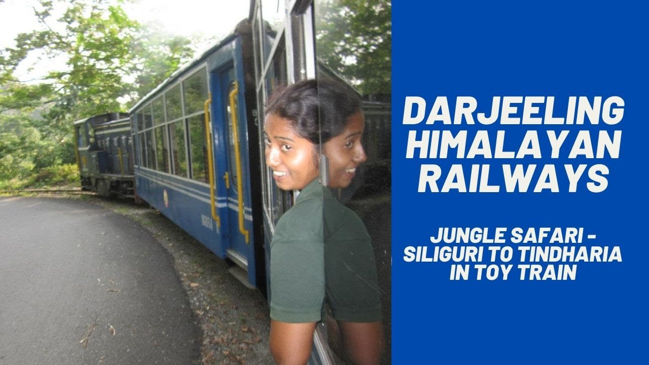 Darjeeling Himalayan Railways - Jungle Safari: Siliguri - Tindharia ...