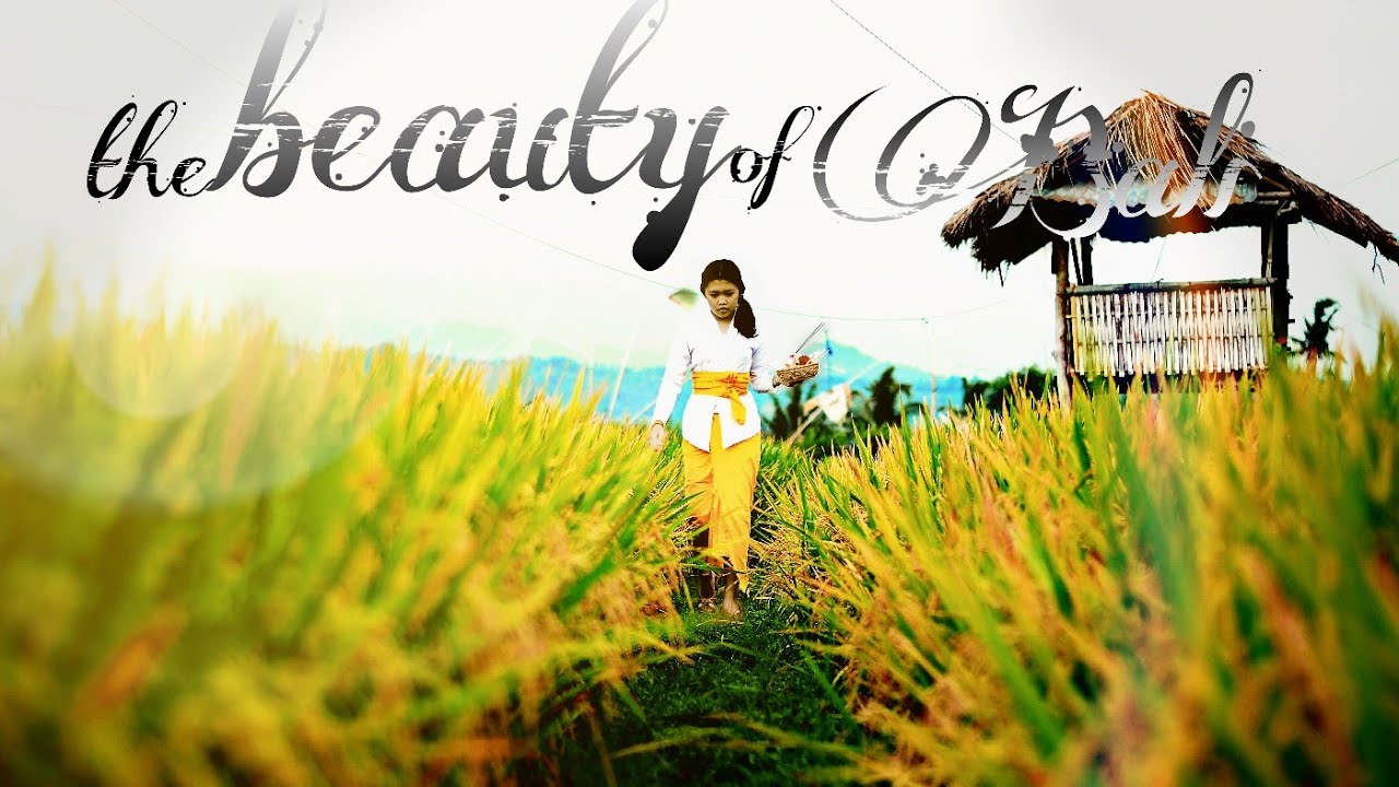 the beuty of Indonesia (rice fields) - YouTube