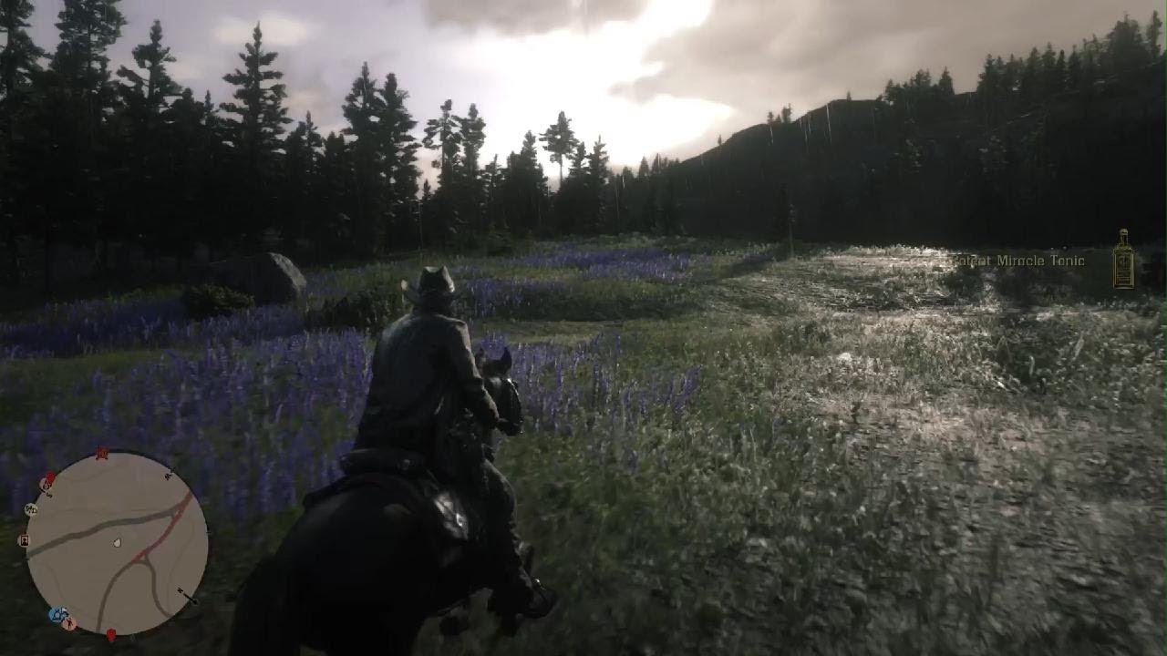 RDO: Legendary bear huntng | Mausers to the rescue - YouTube