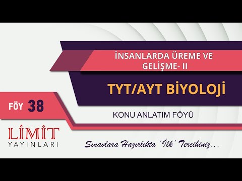 TYT/AYT Biyoloji Konu Anlatımı: İnsanlarda Üreme Ve Gelişme- II