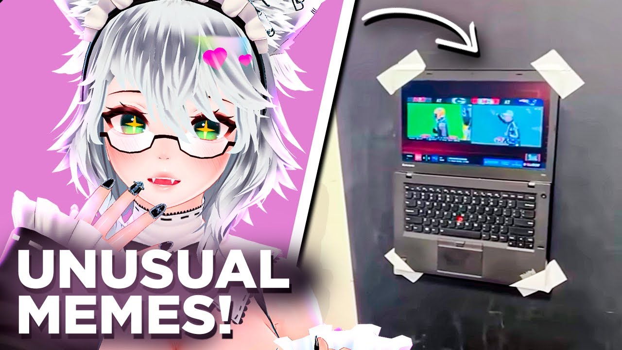 NOT THE BIRD!!! NEILA REACTS TO MORE FUNNY UNEXPECTED MEMES - YouTube