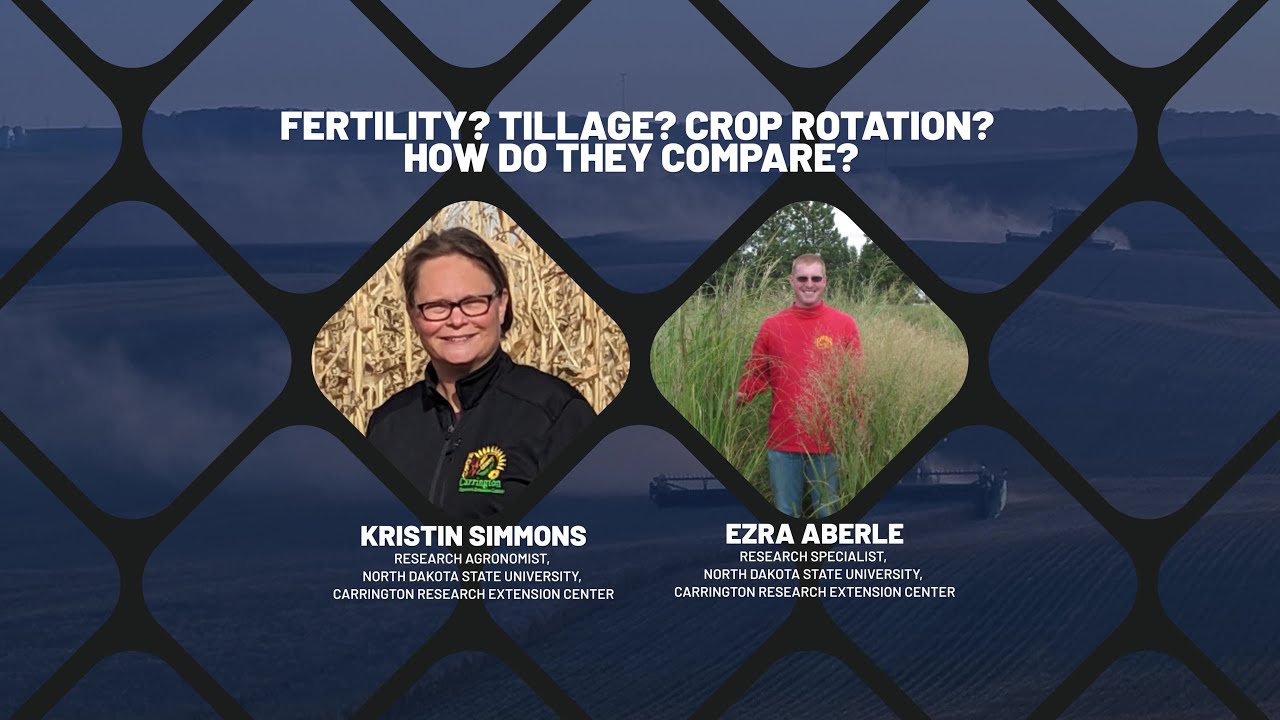 Fertility? Tillage? Crop Rotation? How do They Compare? - YouTube