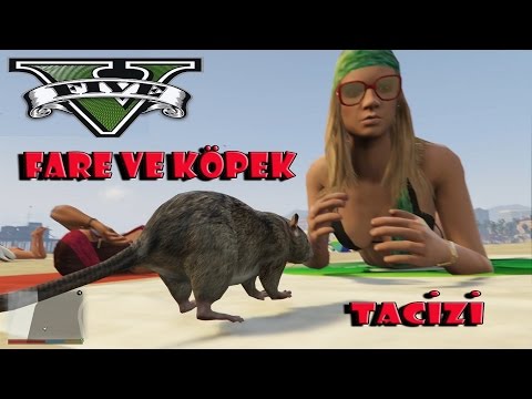 HAYVAN TACİZİNE UĞRAYAN İNSANLAR GTA 5