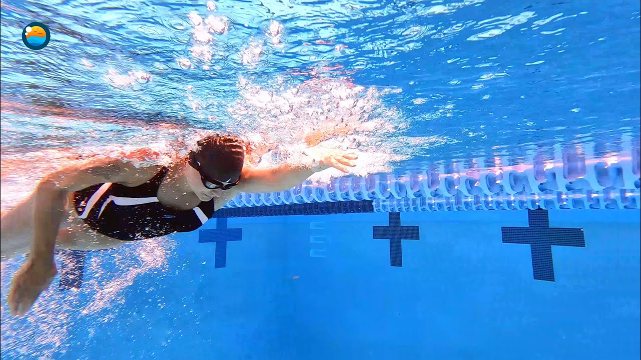 Freestyle Swim Practice | Morning Dive Experience - YouTube