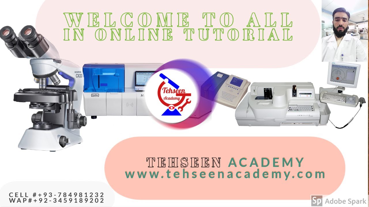 Tehseen Academy online | Online academy | how to do test | online ...