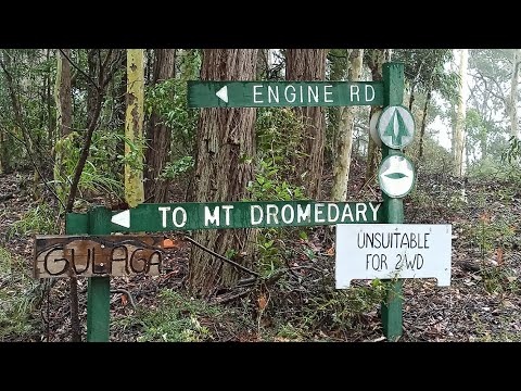 6 Mount Gulaga / Mount Dromedary Trail, NSW Far South Coast Drive. (4WD ...