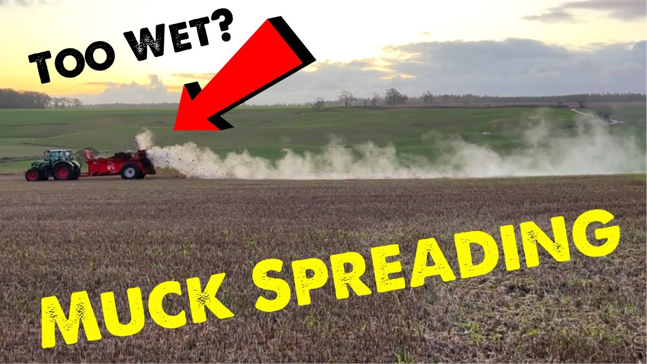 Big Steamy Muck Spreading - YouTube