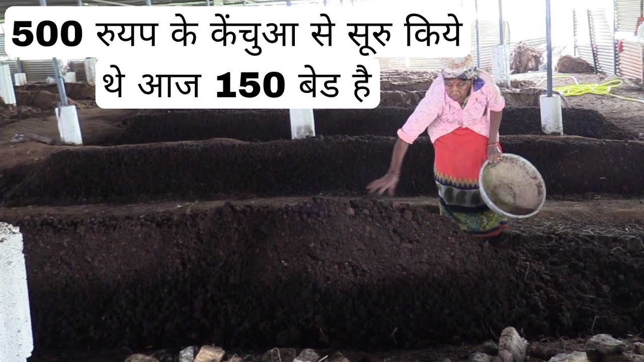 केंचुआ खाद कैसे बनाये // kenchua khad bnta kese hai // how to make ...
