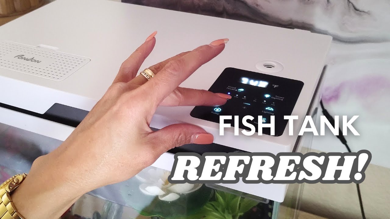 Fish Tank Refresh : Watch This Amazing Transformation - YouTube