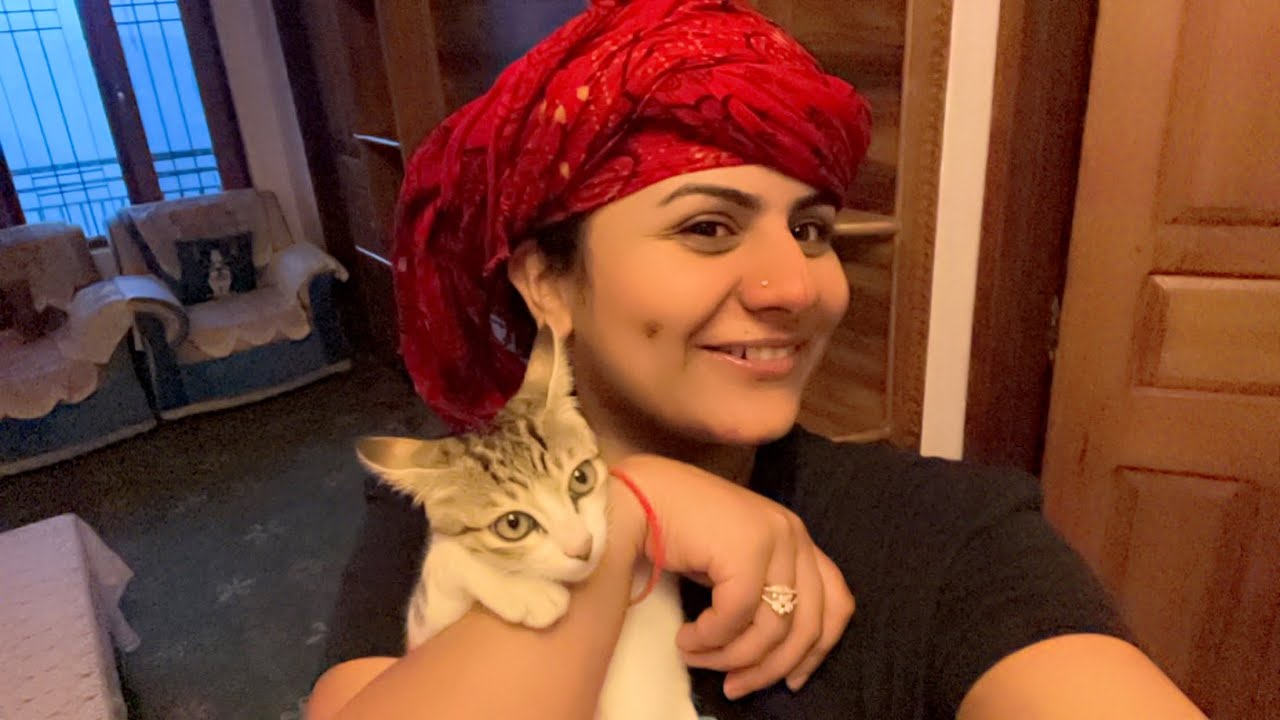 Day without mummy😕|| Tooth ache 🤒 || My kittens 🐱🌸 ️#viral #mummy # ...