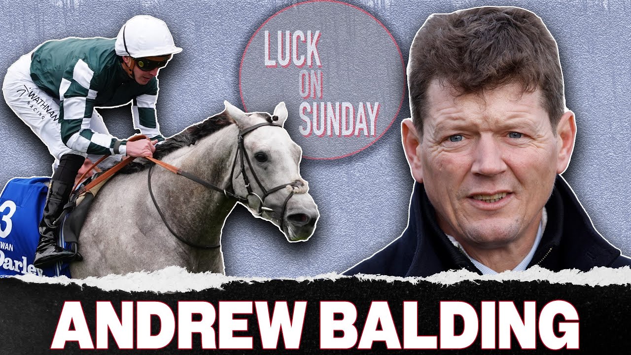 Andrew Balding: my team for Champions Day and more - YouTube