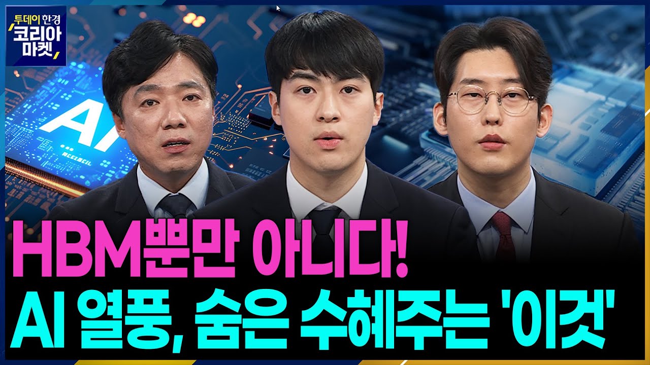 포스트 Ai 수혜주 찾기 낸드·열관리 업체 들썩ㅣ본격 전국민 부자 포트폴리오 만들기 프로젝트 포트의 참견ㅣ투데이 한경