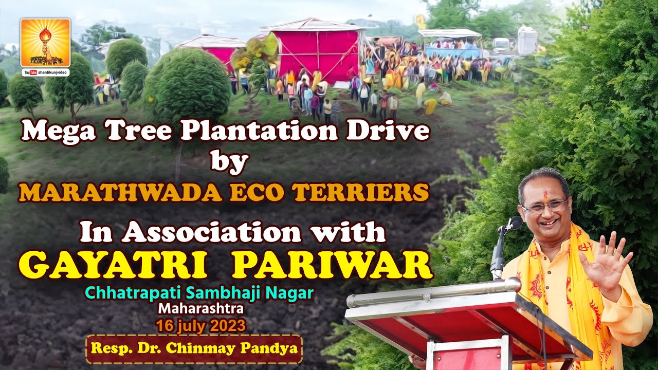 Mega Tree Plantation Drive: Gayatripariwar Maharashtra | #वृक्षारोपण ...