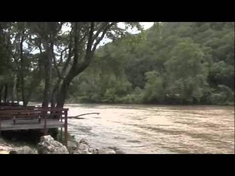 Bobarosa Del Rio Tennessee - YouTube