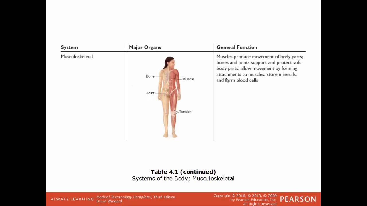 The Human Body in Health and Disease - YouTube
