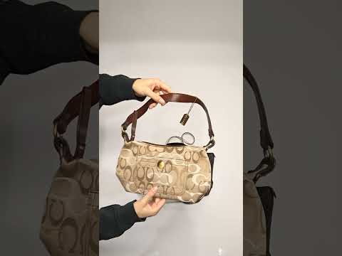 Coach Bags B0315635-16 18 pcs 15 lbs Wholesale at Tiedemann Globe