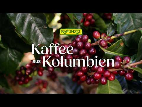 Kolumbianischer Bio Kaffee: Rapunzel besucht Kaffeebäuerinnen und  bauern vor Ort