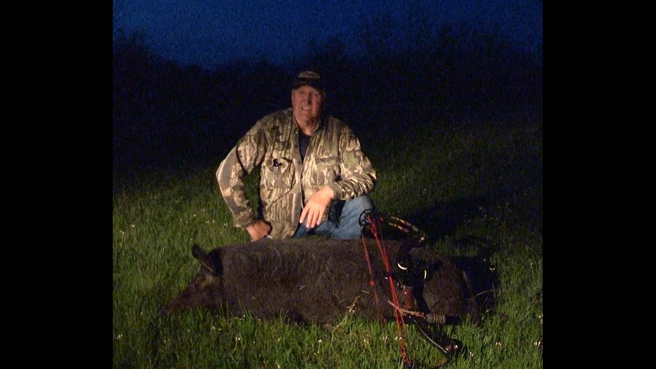 Wayne Bomstad Outdoors, TX Hog with Bow and Arrow, Apr 2014 - YouTube