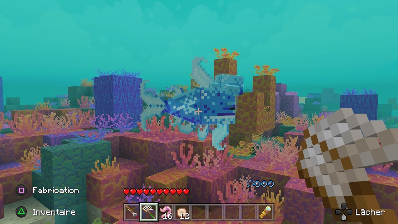 Découvertes d'un poisson LEGENDAIRE et d'autres espèces exotique : The ...