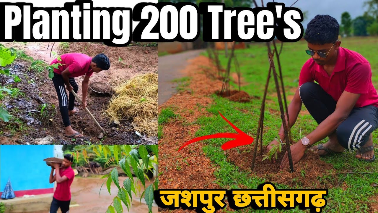 Planting 200 tree's for Nature🌿 || My initiative to save nature🌳 # ...