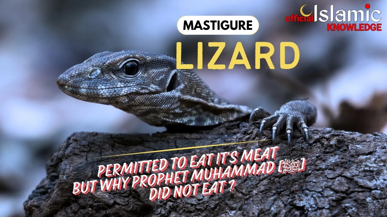 Why Prophet Muhammad ﷺ Didn't Eat Lizard Even Though It is Permitted ...